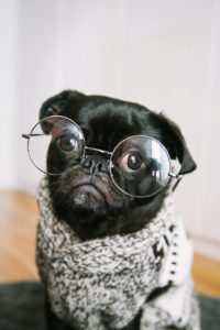 45+ Funny Anagrams Quiz Questions and Answers - Top Trivia Questions