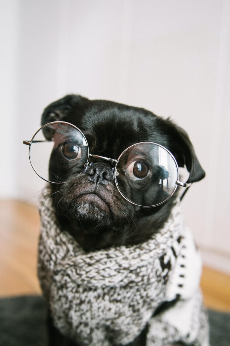 45+ Funny Anagrams Quiz Questions and Answers - Top Trivia Questions