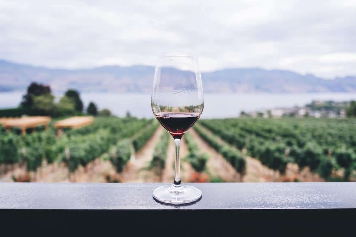45 Wine Quiz Questions and Answers [2023 Quiz] - Top Trivia Questions